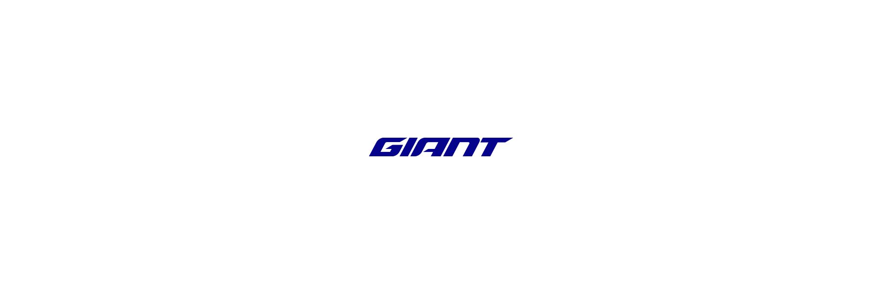 Giant Bikes kaufen | Offizielle Giant Fahrräder im Online Shop – MTB,
