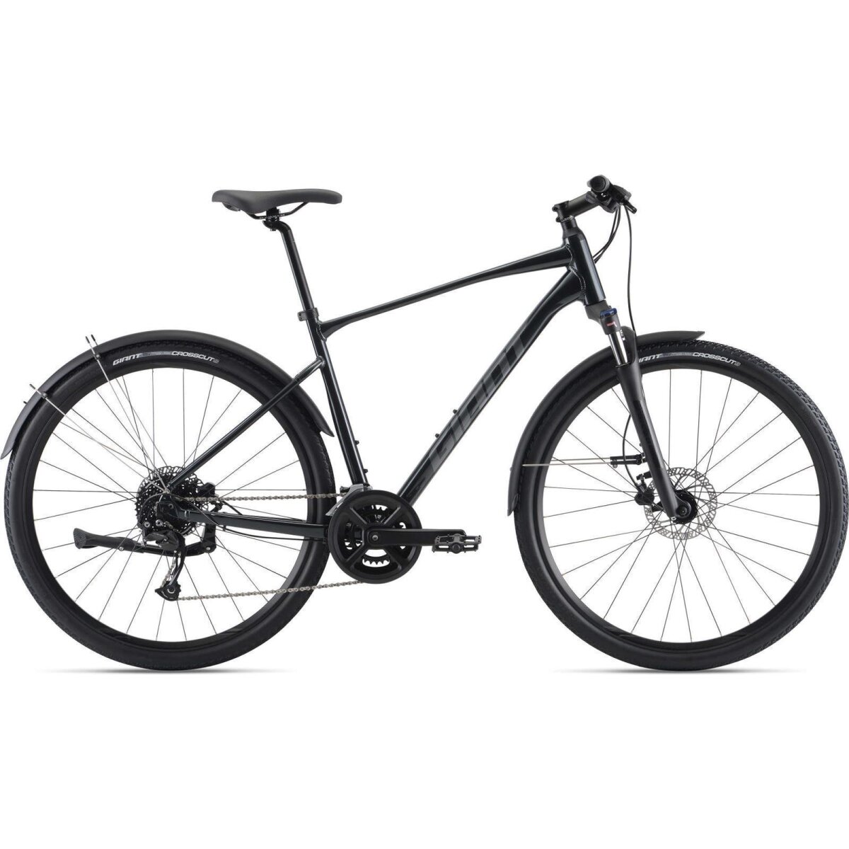 GIANT Roam EX Crossrad in Charcoal – Vielseitiges Fitness- und Touren